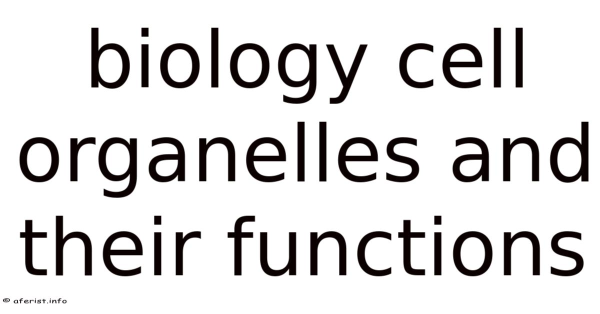 Biology Cell Organelles And Their Functions