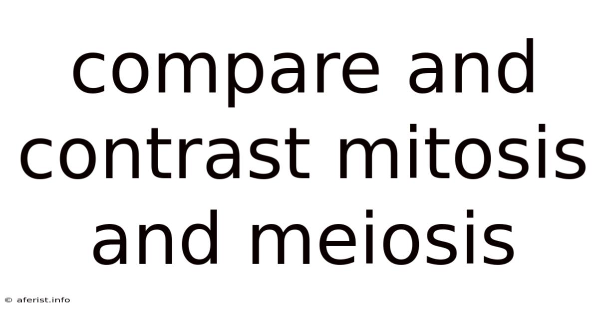 Compare And Contrast Mitosis And Meiosis
