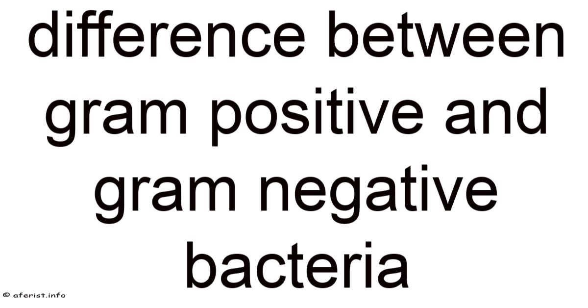 Difference Between Gram Positive And Gram Negative Bacteria