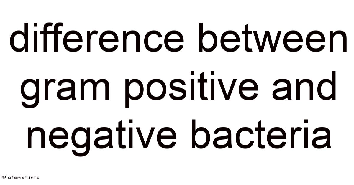 Difference Between Gram Positive And Negative Bacteria