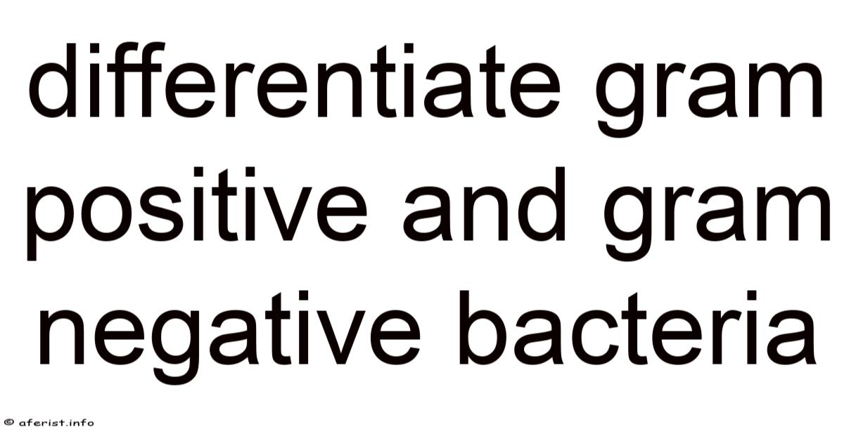 Differentiate Gram Positive And Gram Negative Bacteria