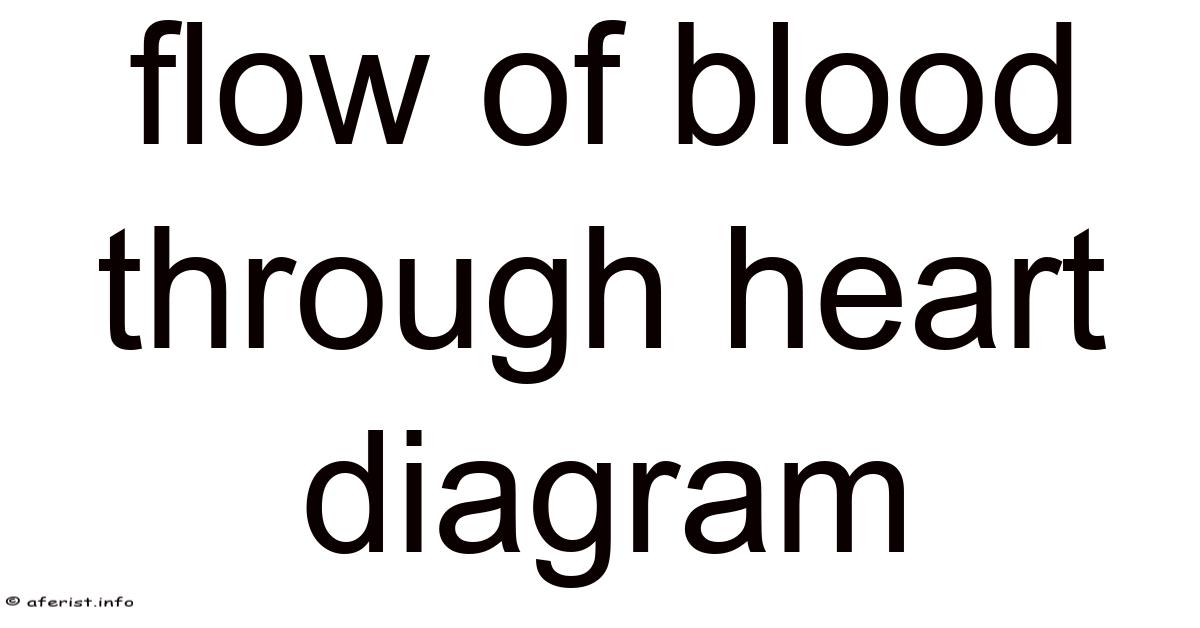 Flow Of Blood Through Heart Diagram