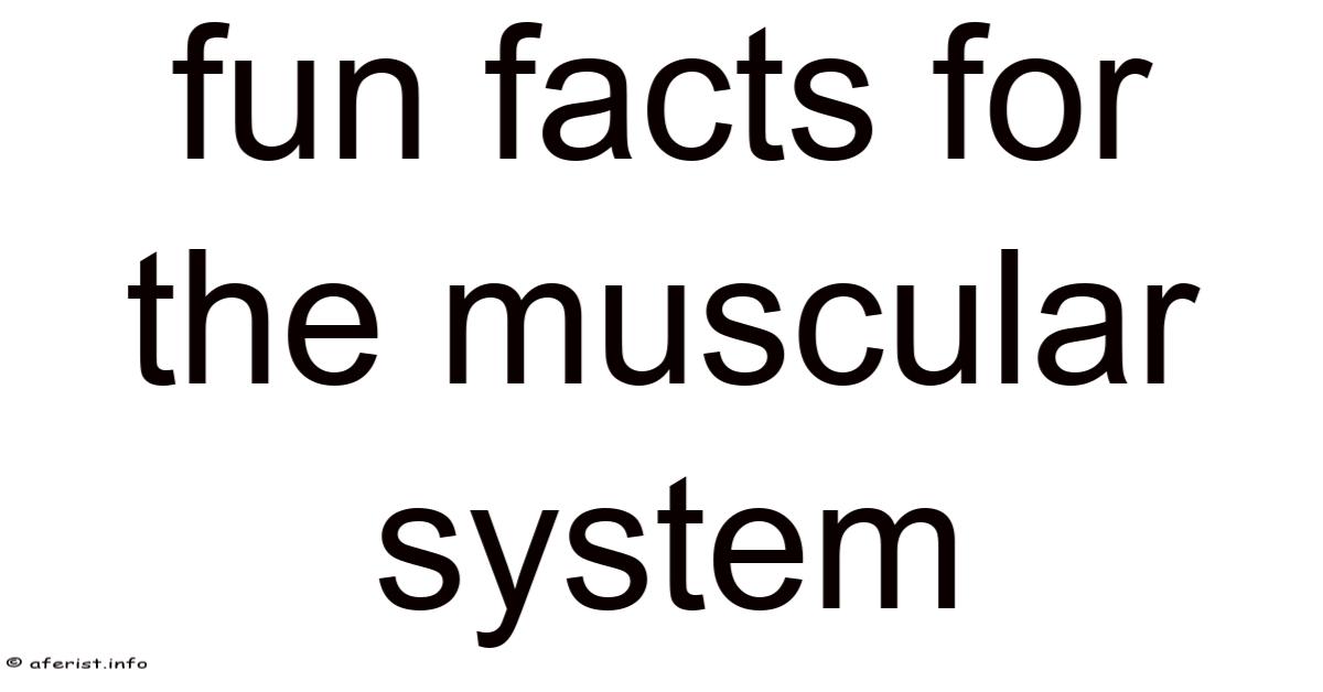 Fun Facts For The Muscular System