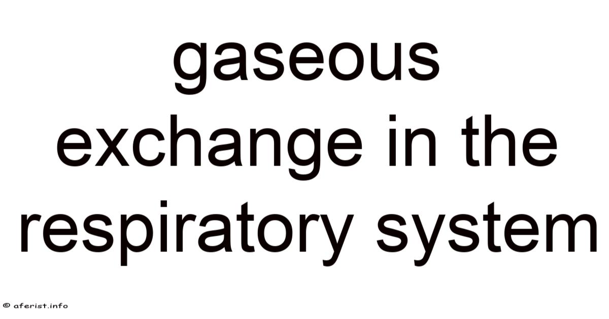 Gaseous Exchange In The Respiratory System