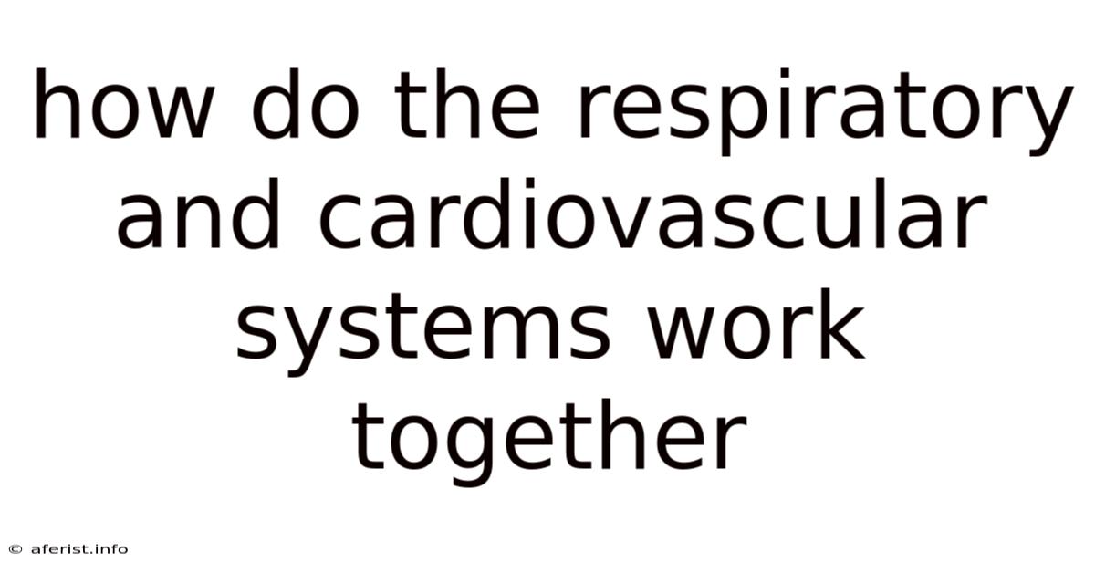 How Do The Respiratory And Cardiovascular Systems Work Together
