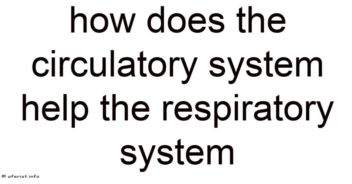 How Does The Circulatory System Help The Respiratory System