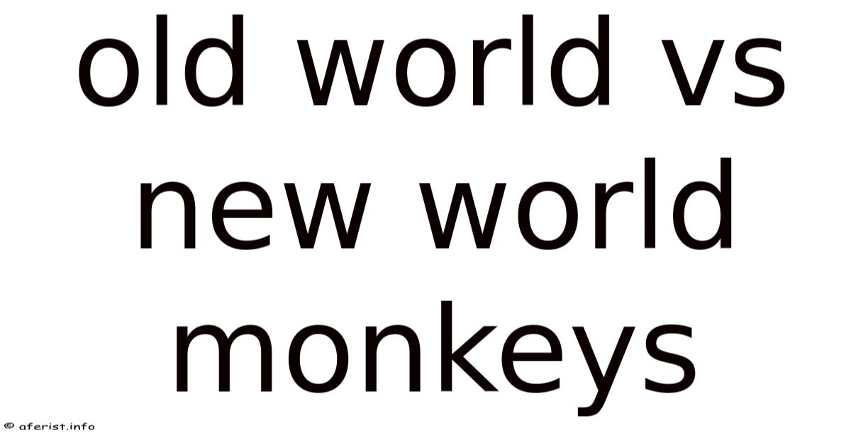 Old World Vs New World Monkeys