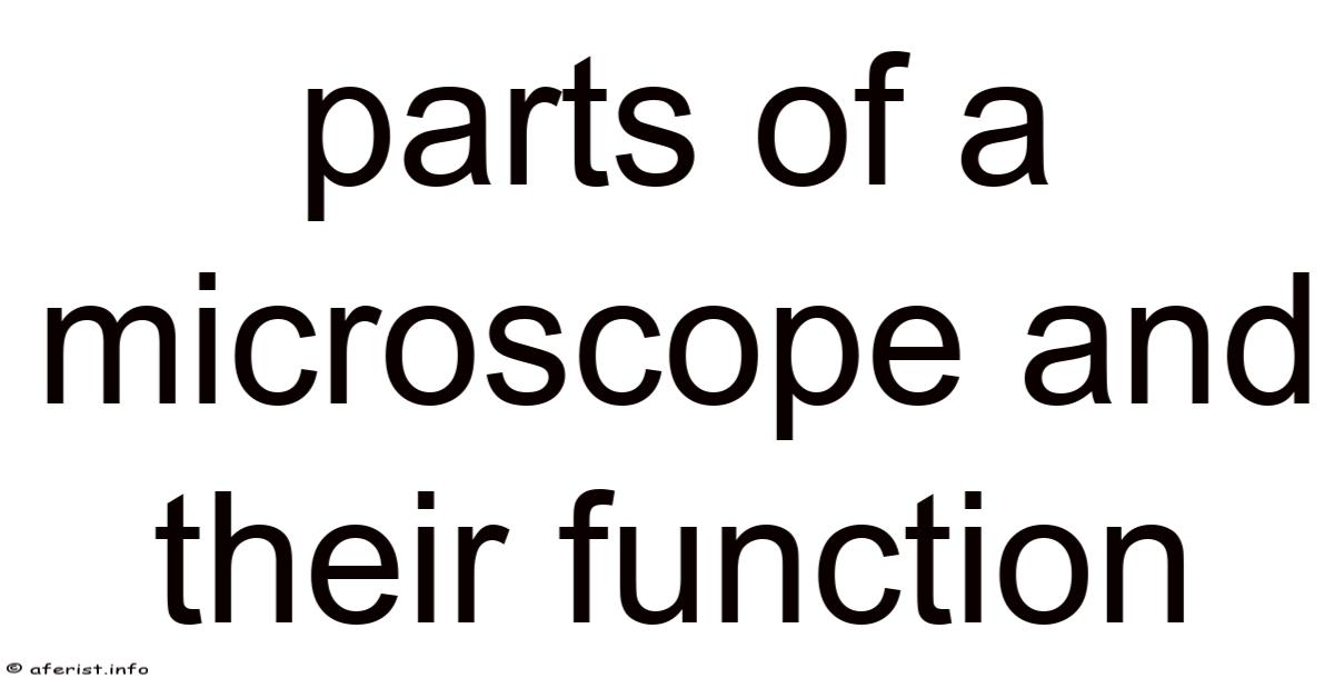 Parts Of A Microscope And Their Function