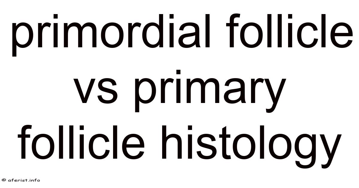Primordial Follicle Vs Primary Follicle Histology