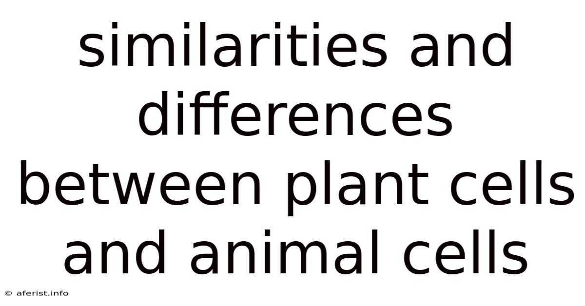 Similarities And Differences Between Plant Cells And Animal Cells