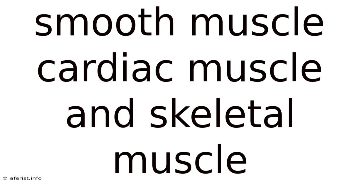 Smooth Muscle Cardiac Muscle And Skeletal Muscle