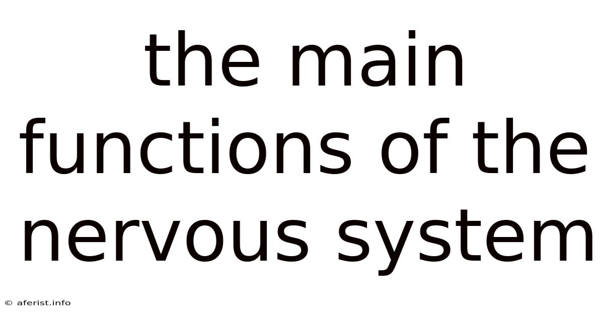 The Main Functions Of The Nervous System