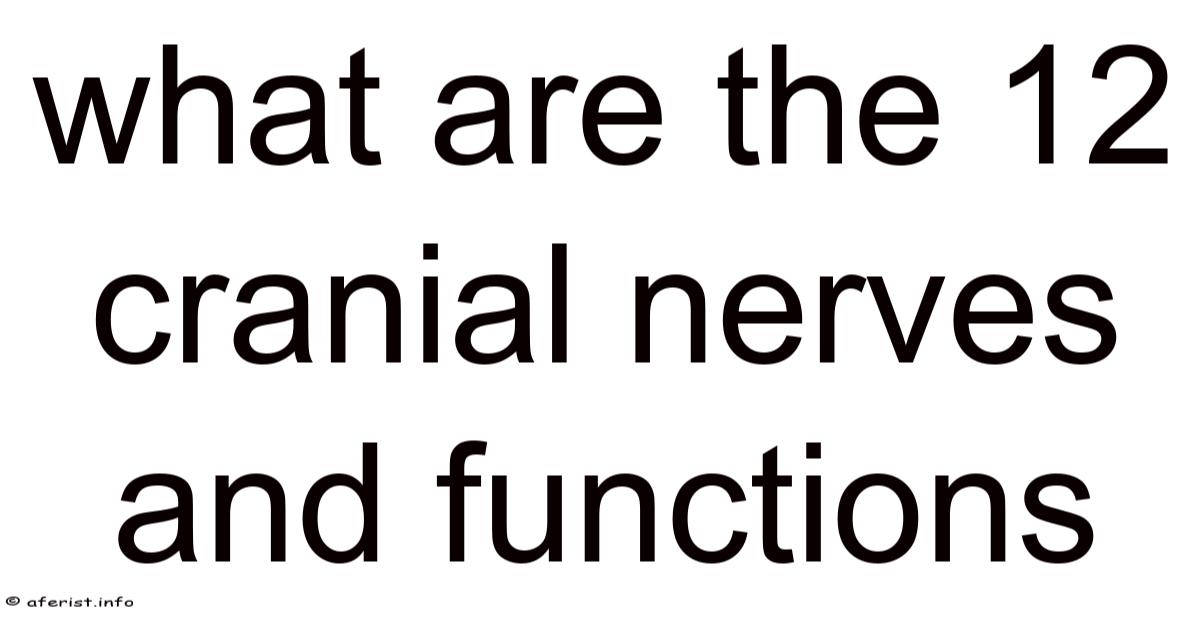 What Are The 12 Cranial Nerves And Functions