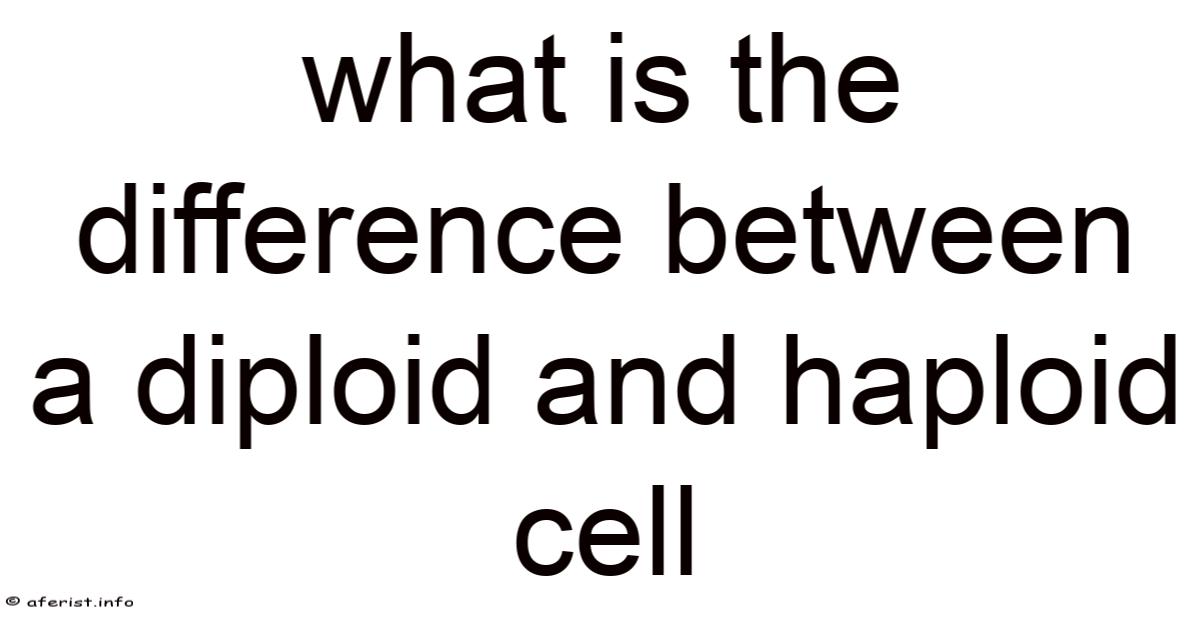What Is The Difference Between A Diploid And Haploid Cell