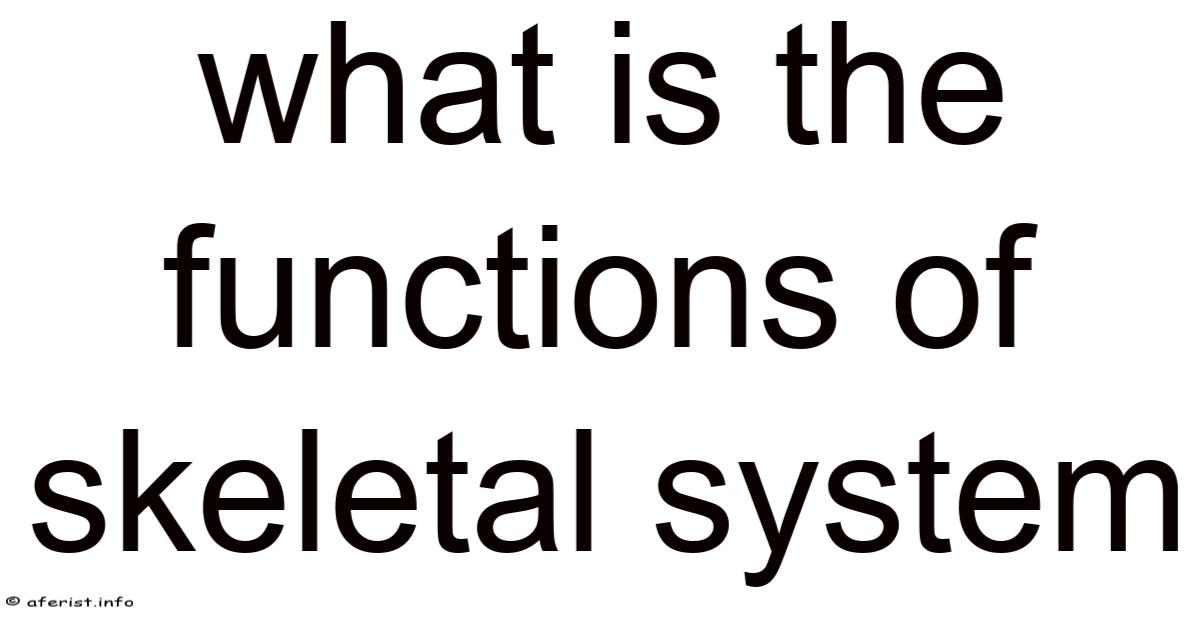 What Is The Functions Of Skeletal System